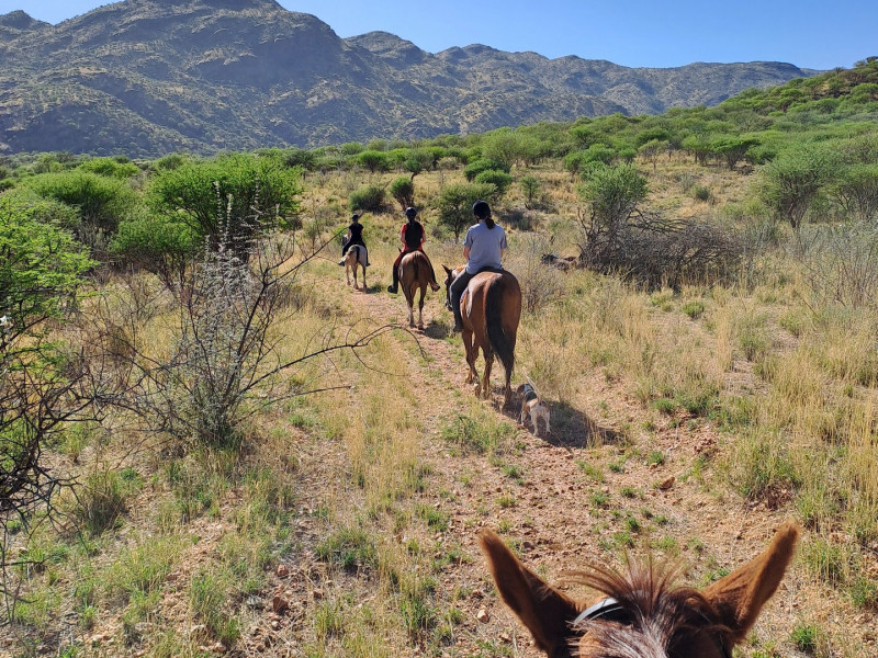 Equitrails Namibia - Trails